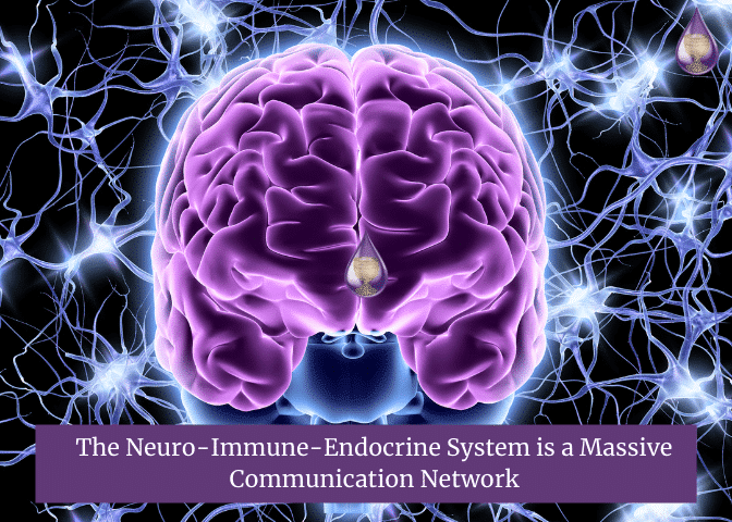 How Hormones Affect Your Brain - Genesis Gold