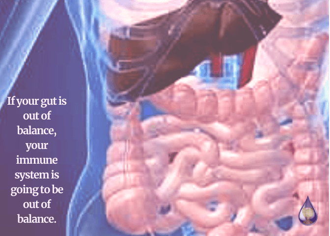 How to Improve Gut Health Naturally - Genesis Gold