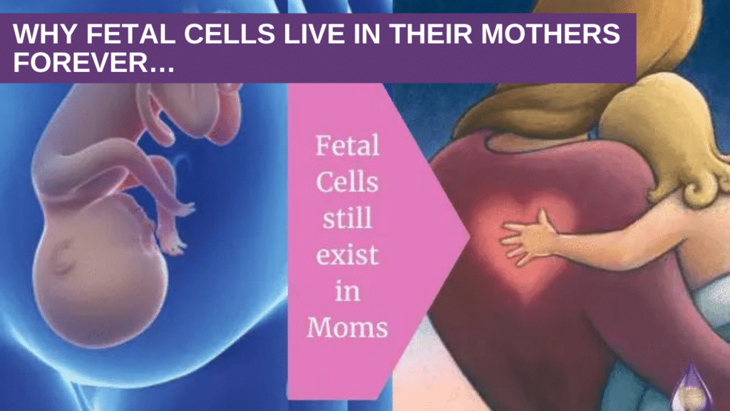 Why fetal cells live in their mothers forever… - Genesis Gold