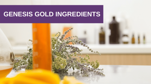 Genesis Gold Ingredients, Hypothalamus Support - Genesis Gold