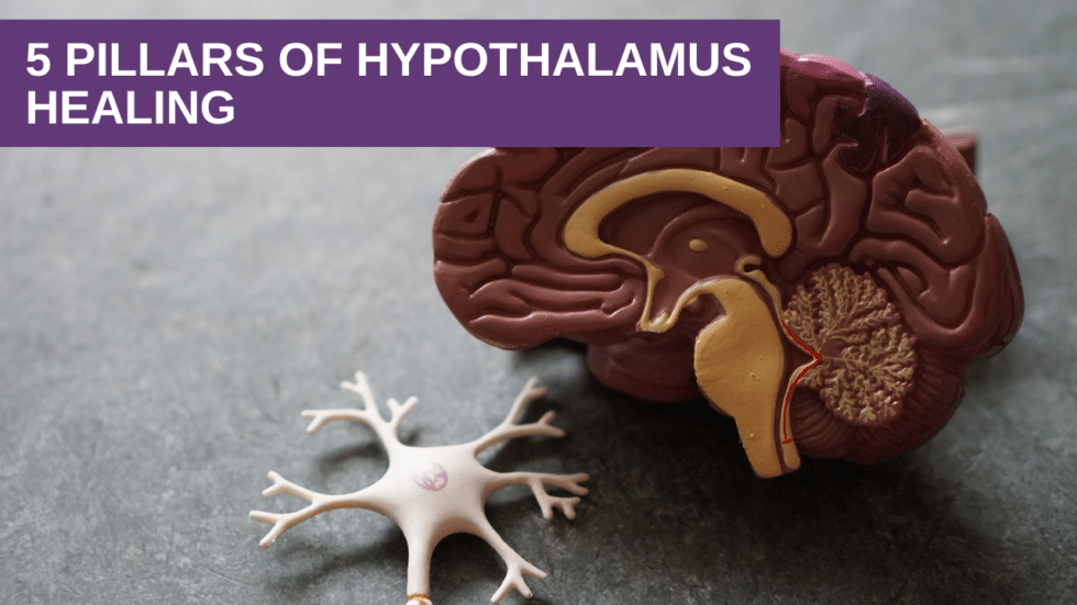How to Heal the Hypothalamus Gland - Genesis Gold