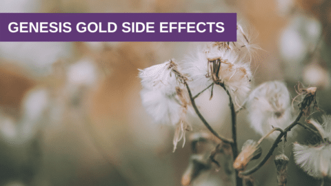 Genesis Gold Side Effects, What to Expect - Genesis Gold