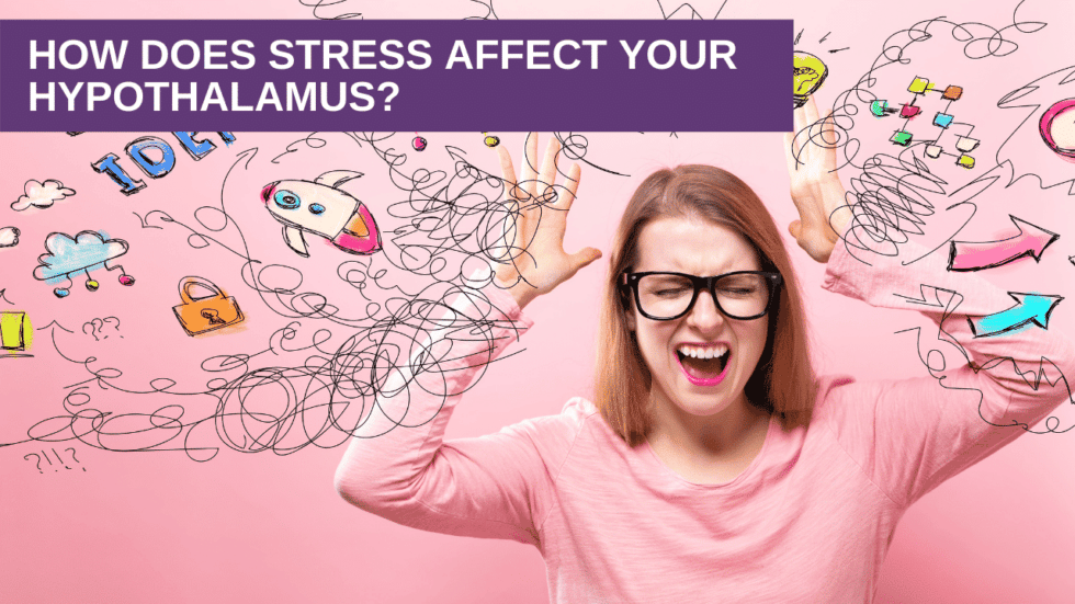 How Does Stress Affect Your Hypothalamus? - Genesis Gold