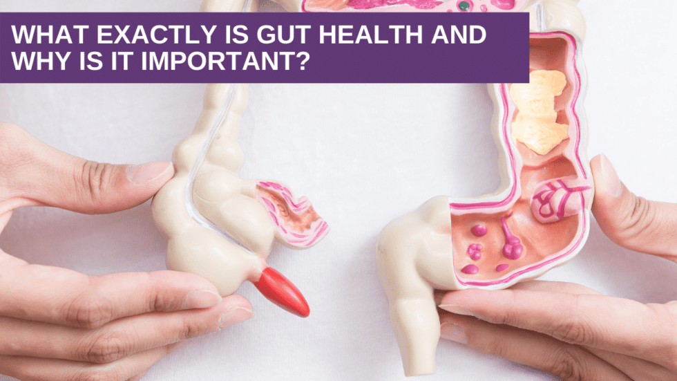 What Exactly is Gut Health and Why is it Important? - Genesis Gold