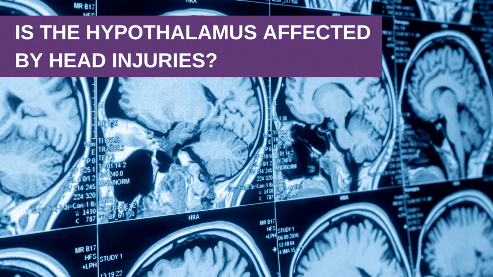Is the Hypothalamus Affected by Head Injuries? - Genesis Gold