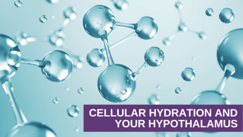 Cellular Hydration and Your Hypothalamus - Genesis Gold
