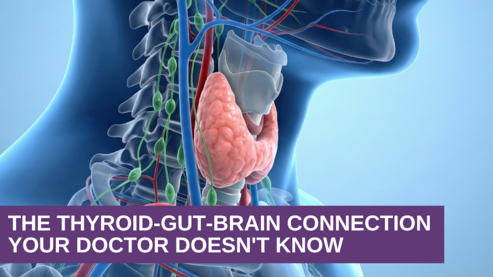 The Thyroid-Gut-Brain Connection Your Doctor Doesn't Know - Genesis Gold